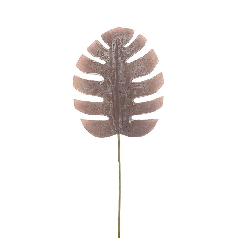 Frunza Decorativa - Siart