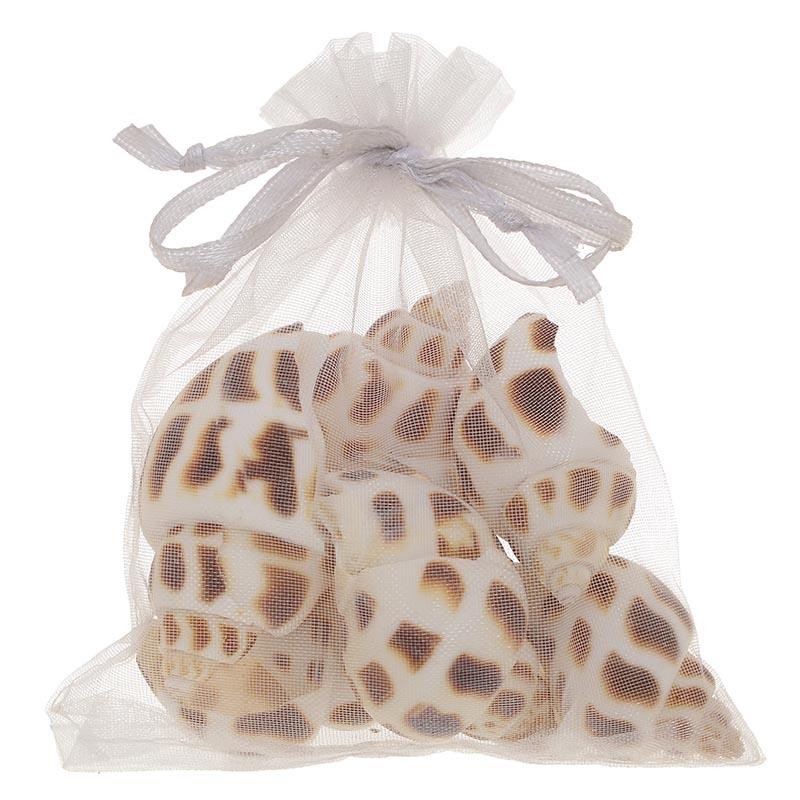 Scoici Decorative - Siart