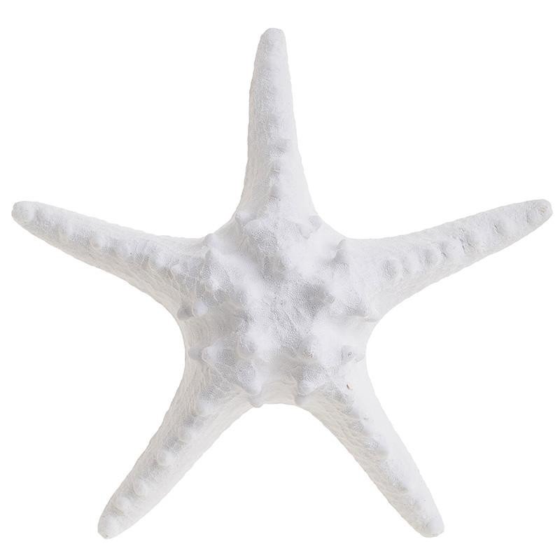 Stea De Mare - Siart