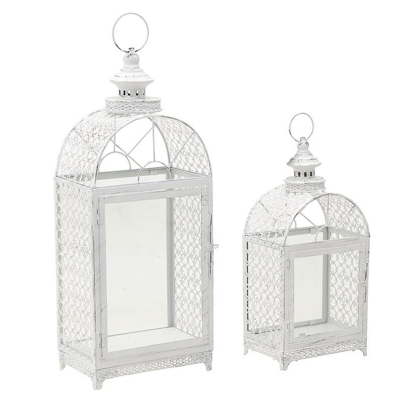 2 Felinare Flora - Siart